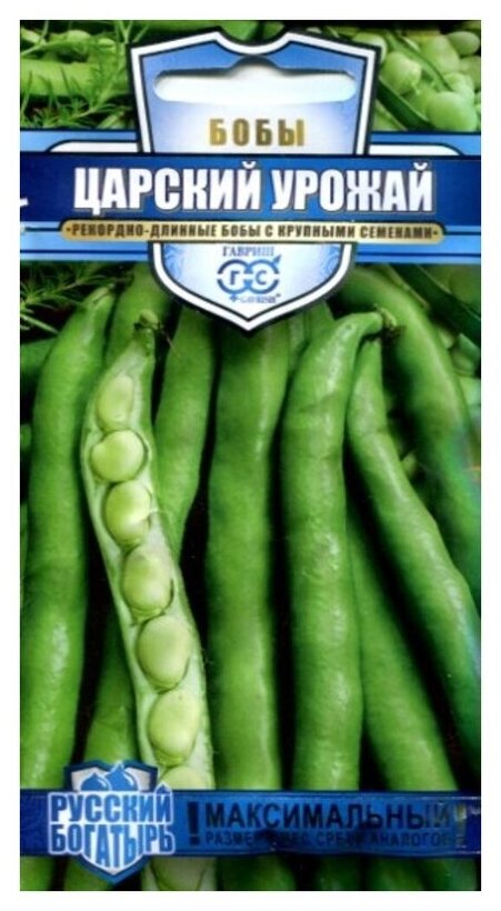 Семена Бобы Царский урожай 10шт (Гавриш) Русский богатырь