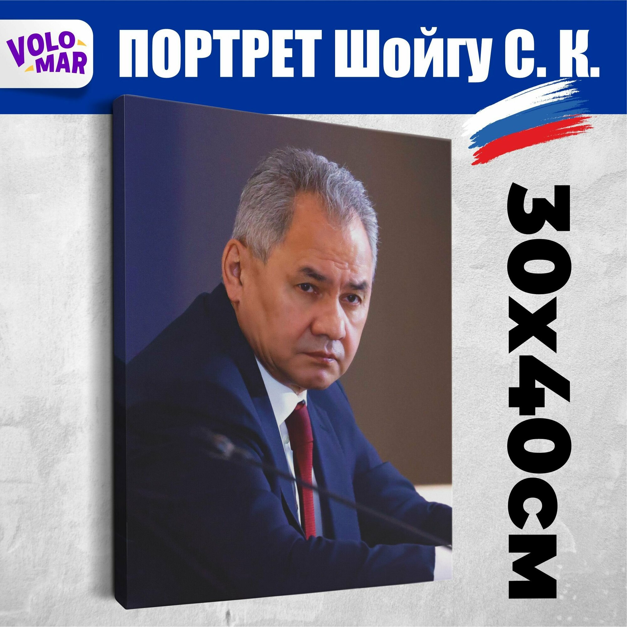 Картина на холсте для интерьера "Шойгу", 300х400 мм, VoloMar