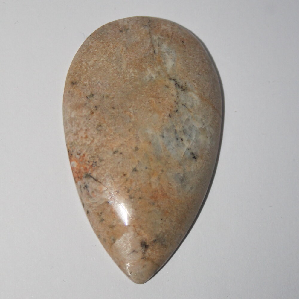 Коллекционный кабошон Коралл, 57х33х4 мм, Индонезия, "True Stones"