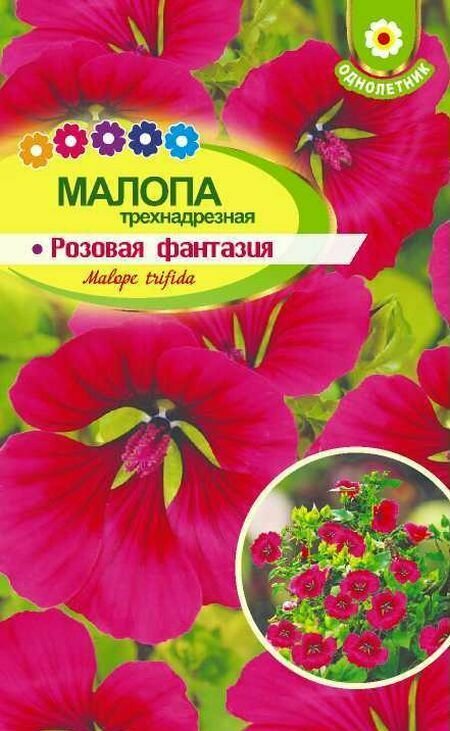 Семена растения Малопа Розовая фантазия