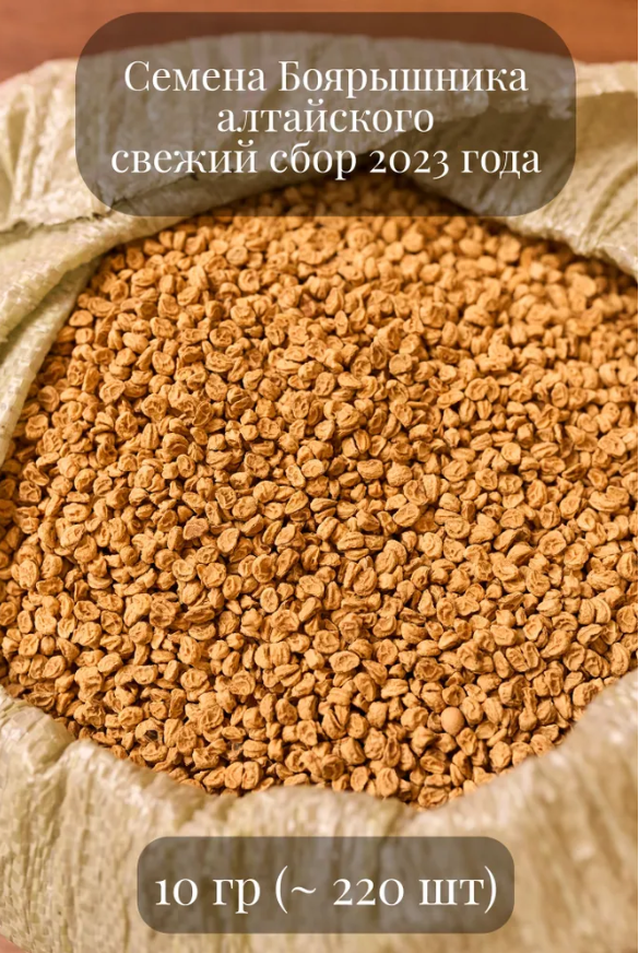 Семена Боярышника алтайского декоративного , 10 грамм (примерно 220 шт)