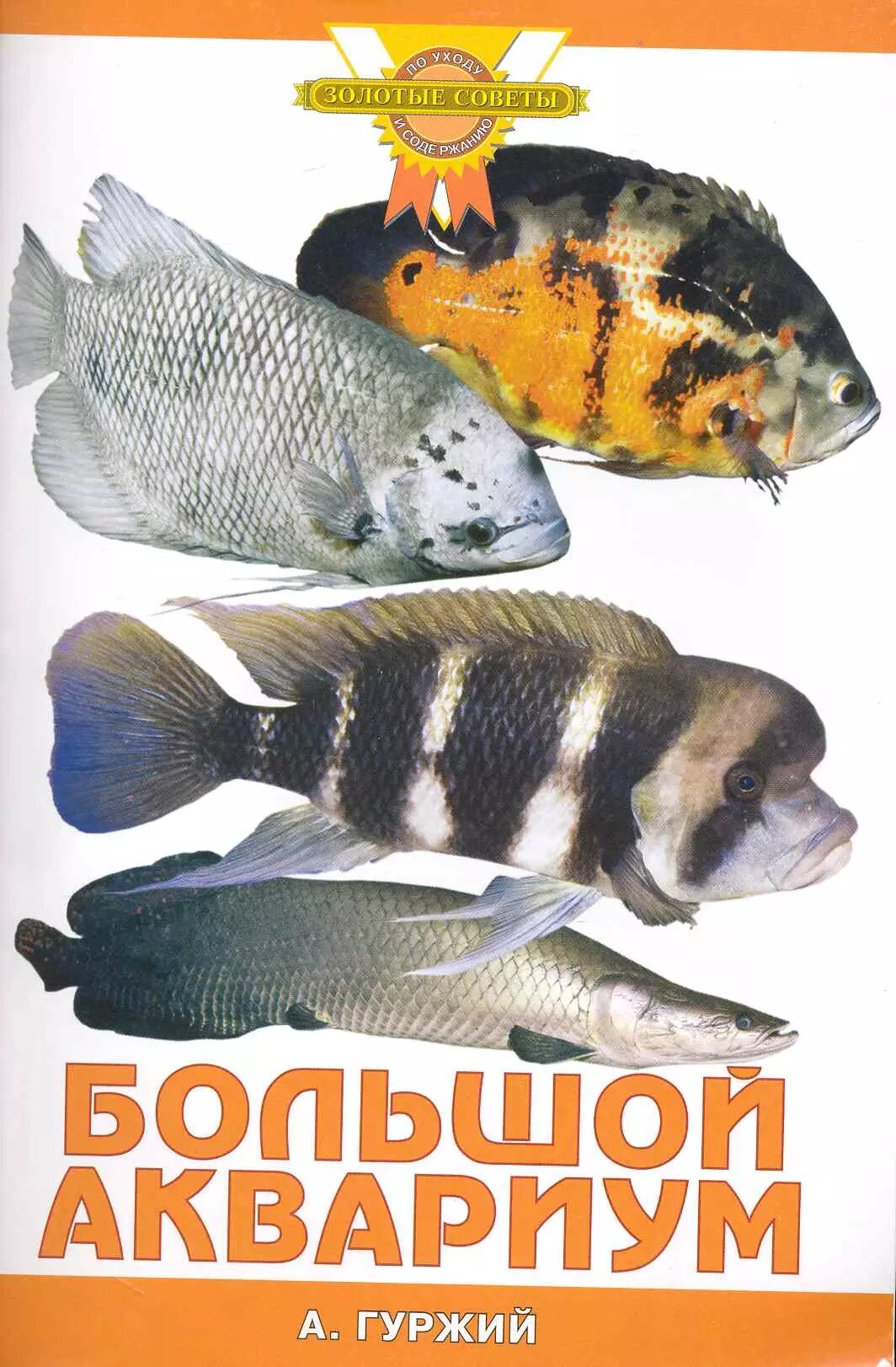 Большой аквариум (Александр Гуржий)