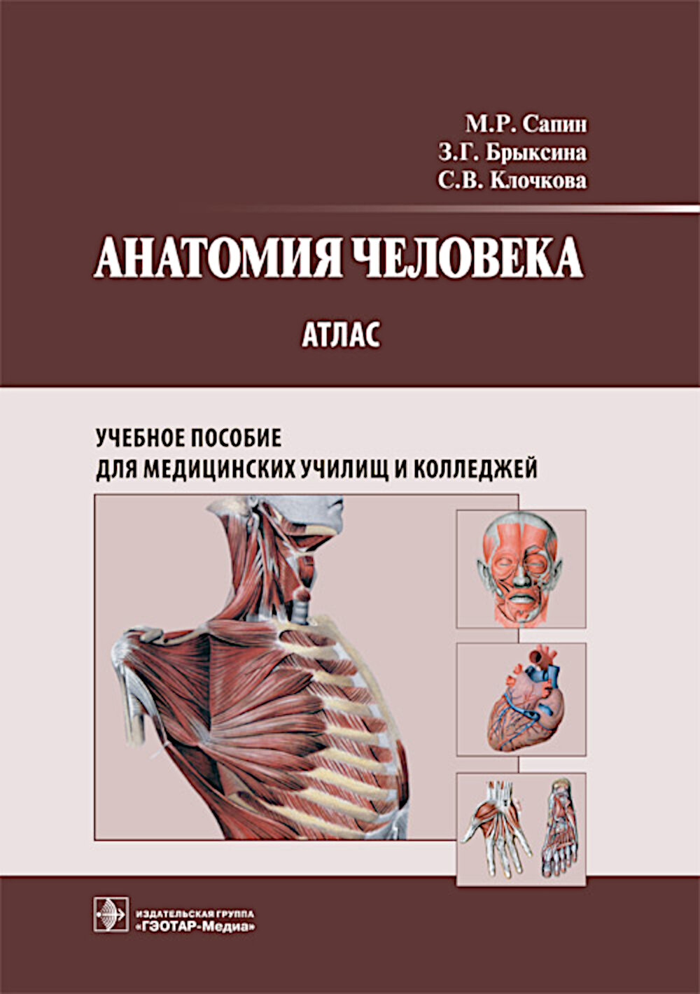 Анатомия человека: атлас: Учебное пособие, Брыксина З. Г, Сапин М. Р, Клочкова С. В, гэотар-медиа