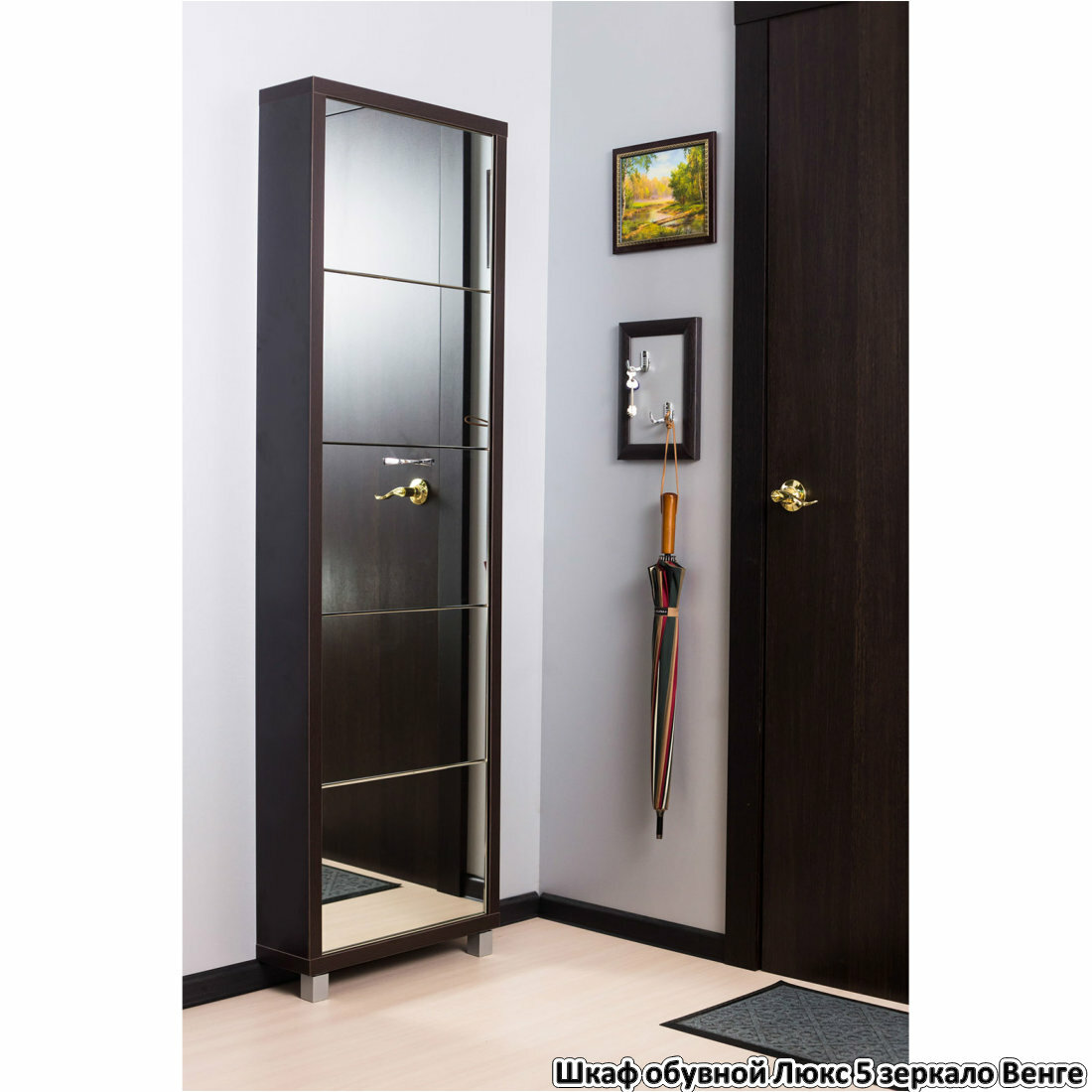 Шкаф обувной Люкс 5 зеркало венге, Айрон, Ш:55 см, В:174 см, Г:19 см.