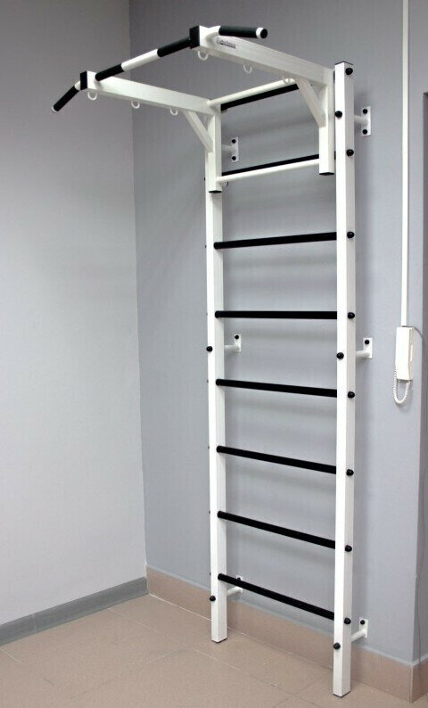 Спортивный элемент металлическая шведская стенка с навесным турником