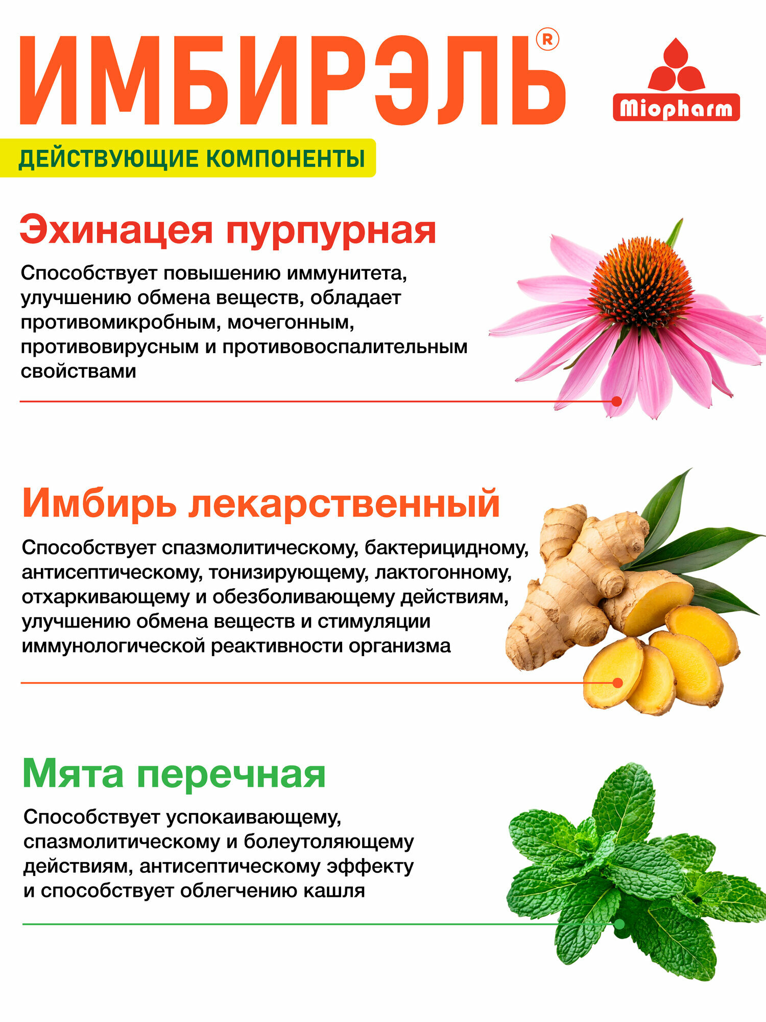 Эхинацея, имбирный чай, витамины группы В, для иммунитета, порошок от простуды и гриппа, противовирусные Имбирэль №11 — фото 1