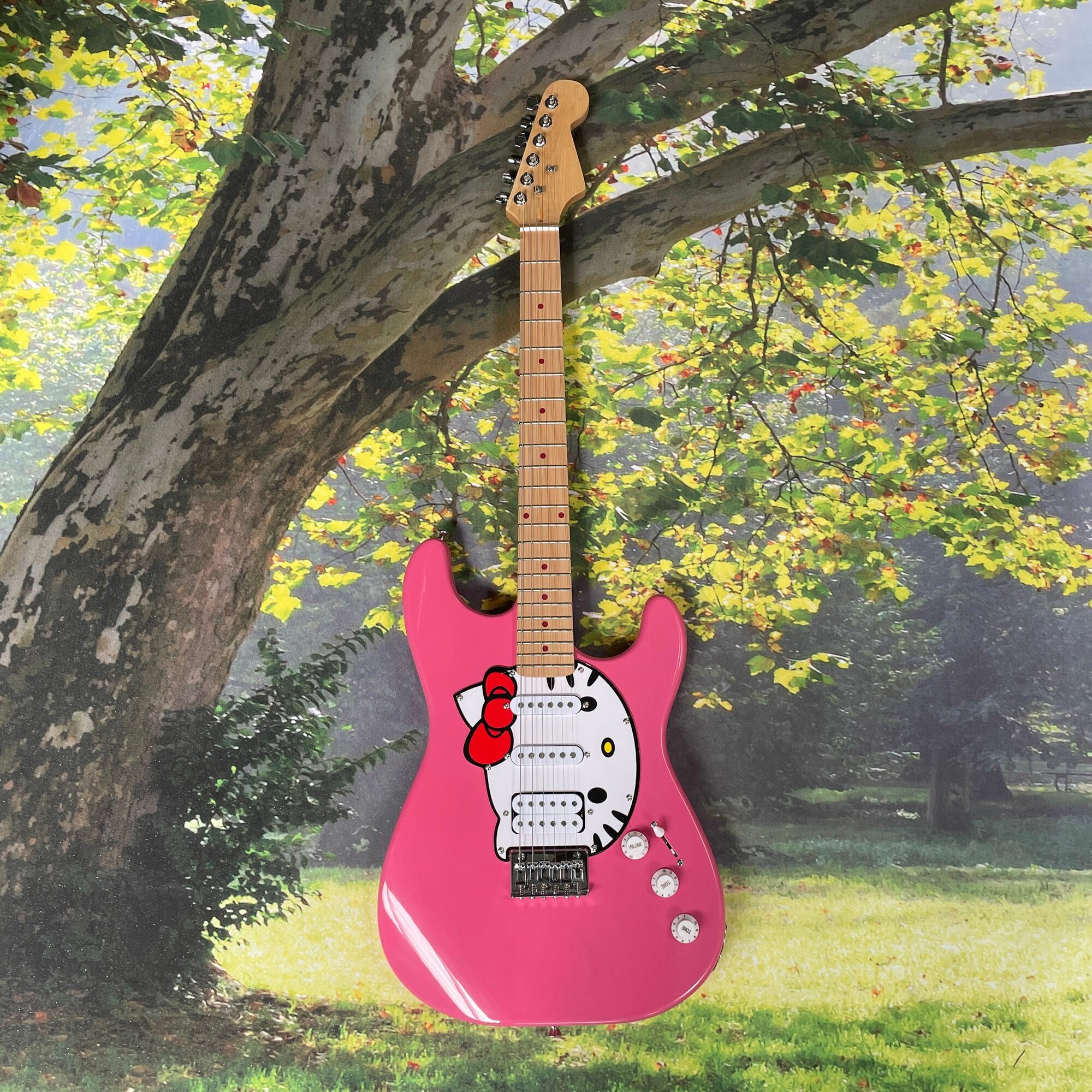 Электрогитара Электрическая гитара