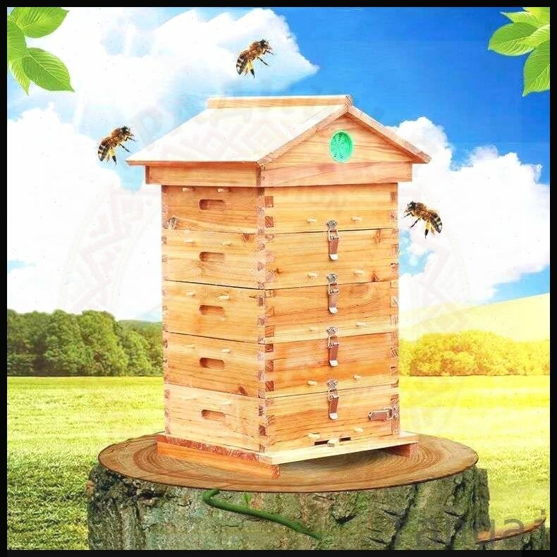 1 шт. ульи из китайской пихты, полный комплект для пчеловодов