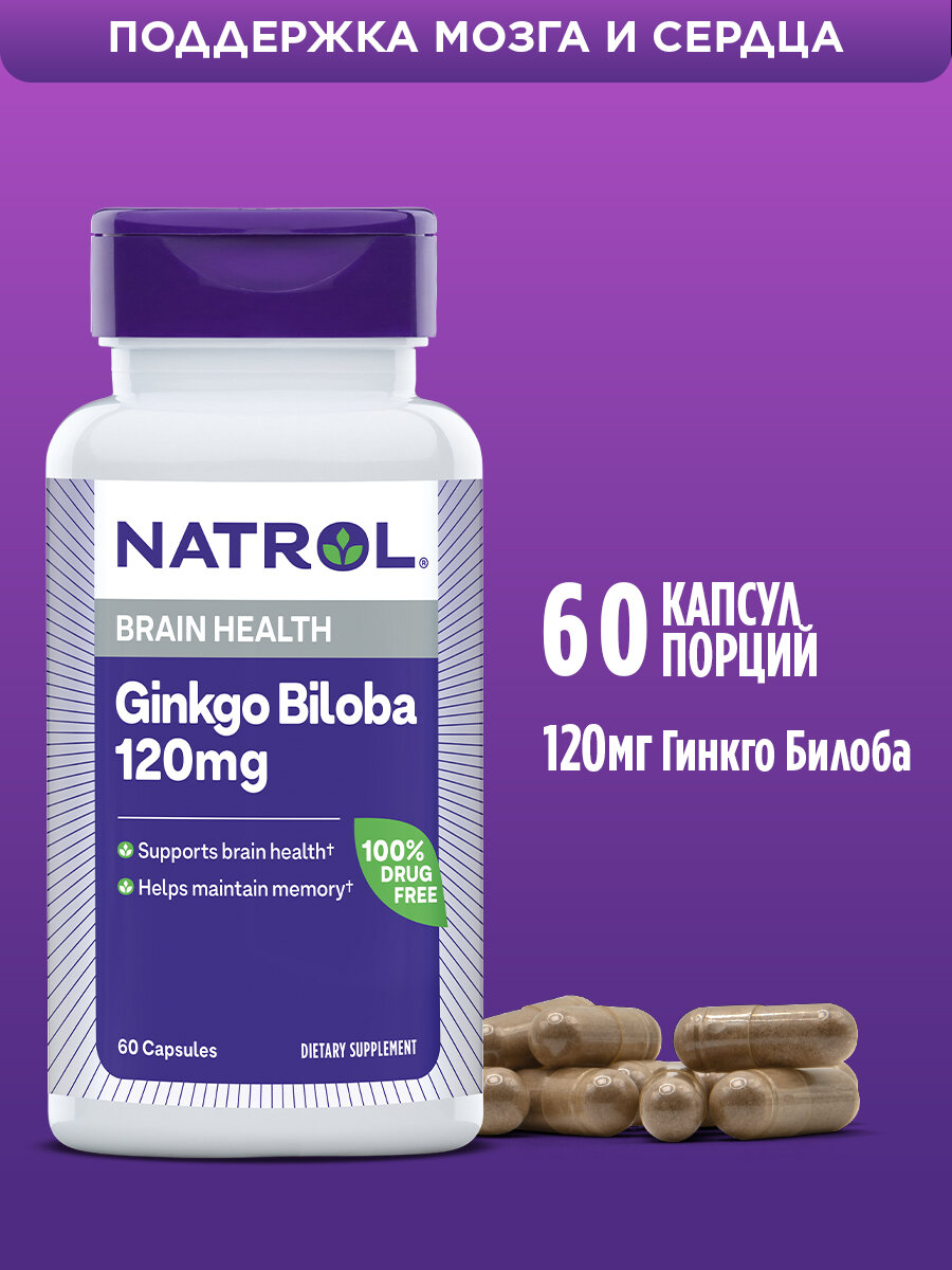 Витамины, бад для здоровья мозга Natrol Ginkgo Biloba 120 мг 60 капс, Гинкго билоба 120 мг 60капс