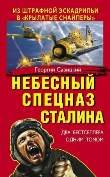 Небесный спецназ Сталина. Из штрафной эскадрильи в "крылатые снайперы"