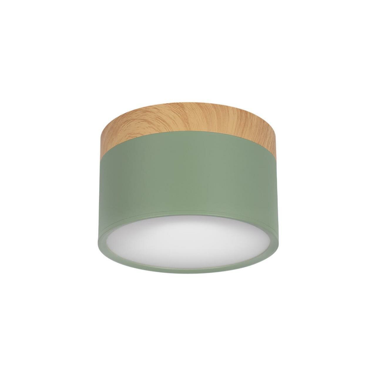 Светильник потолочный Loft it Grape, 10162 Green, 12W, LED, Стиль Модерн