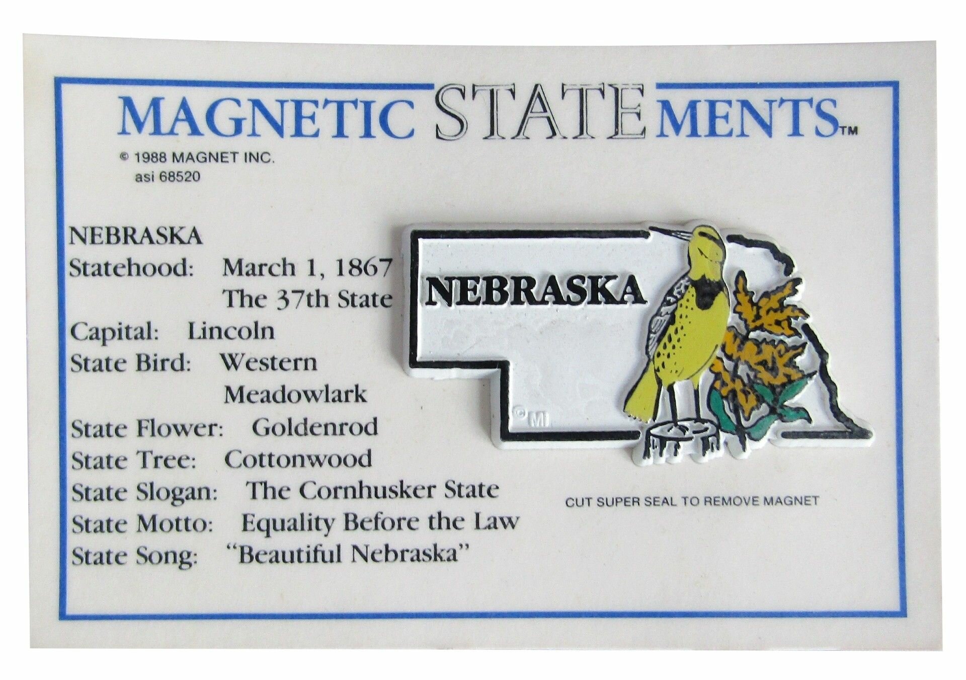 Magnetic Statements. Nebraska Магнит на холодильник
