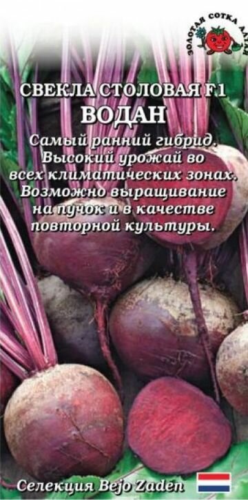 Семена Свекла Водан F1