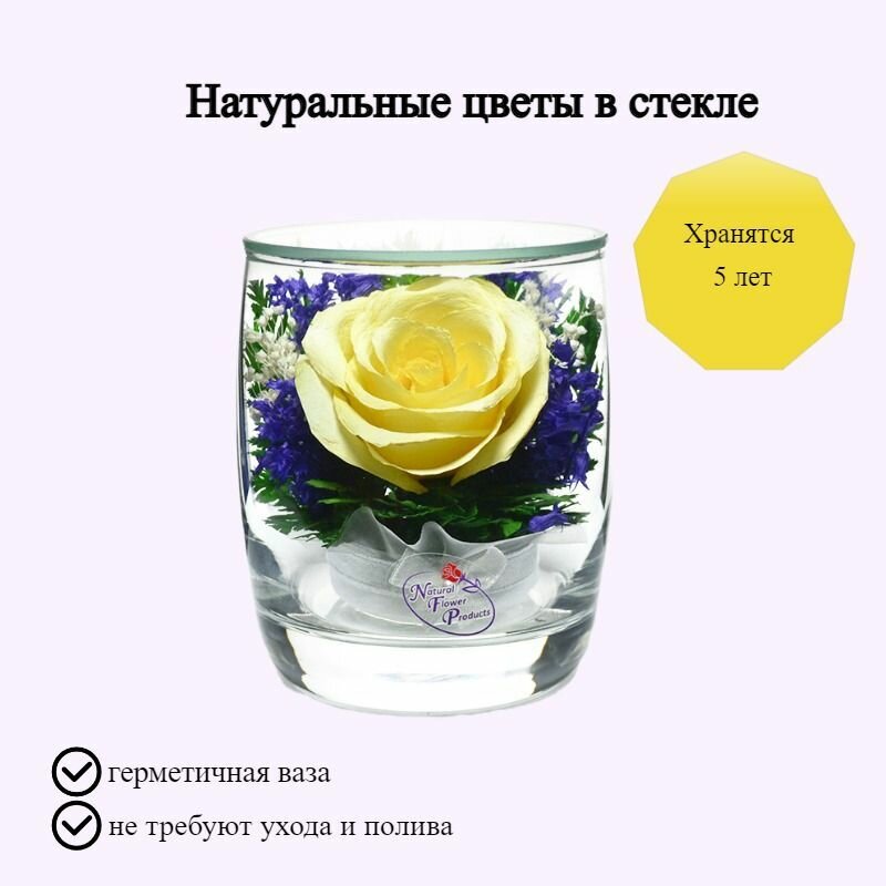 Композиция из натуральных цветов в стекле NFP, 8.5х7 см