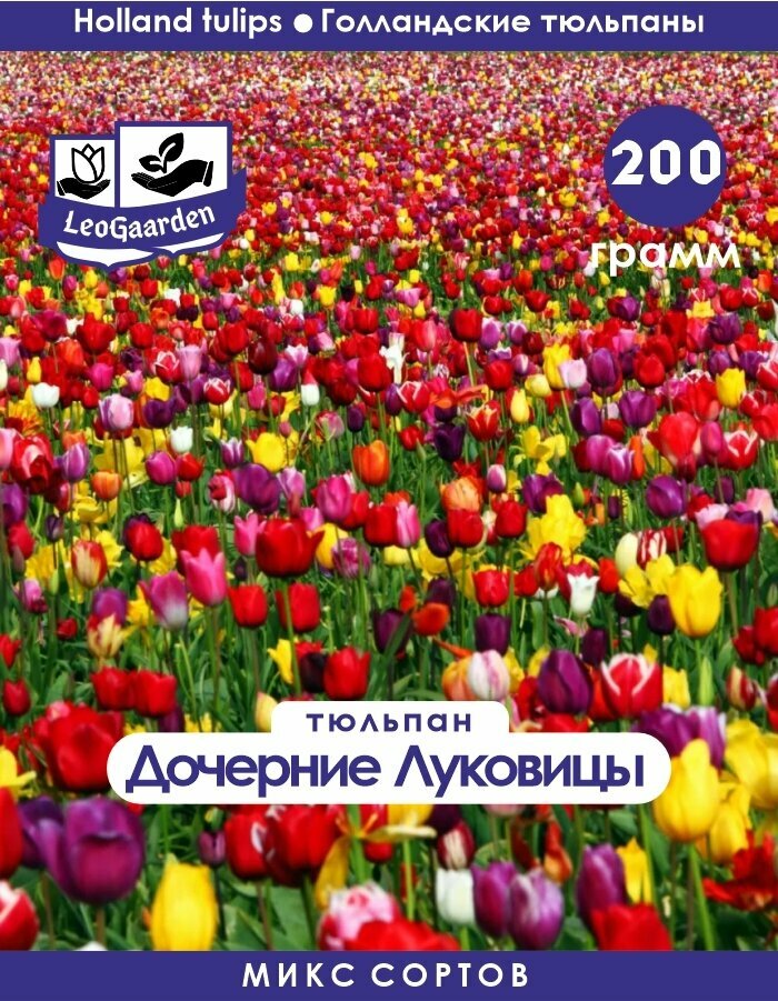 Тюльпан Луковица, дочерние, 200г (LeoGaarden)