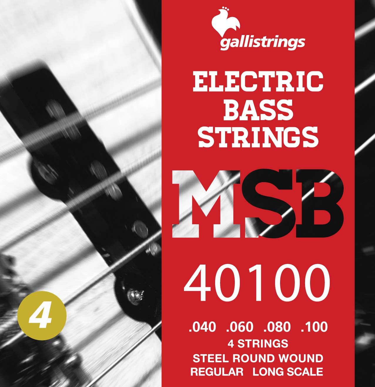 (040-100) GALLI STRINGS MSB40100 - струны для бас-гитары, regular