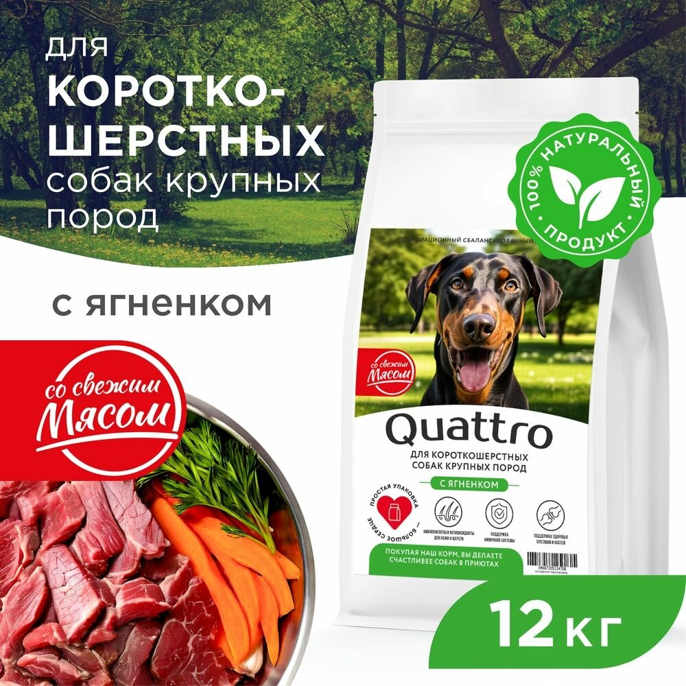Корм сухой для взрослых собак крупных пород, премиум полнорационный комплекс, для короткошерстных собак, с ягненком, 12 кг, QUATTRO