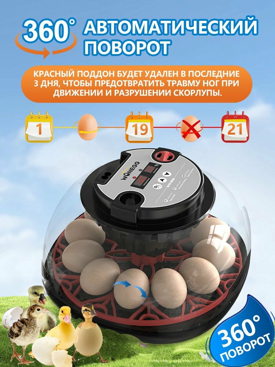 Инкубатор для яиц — фото 1