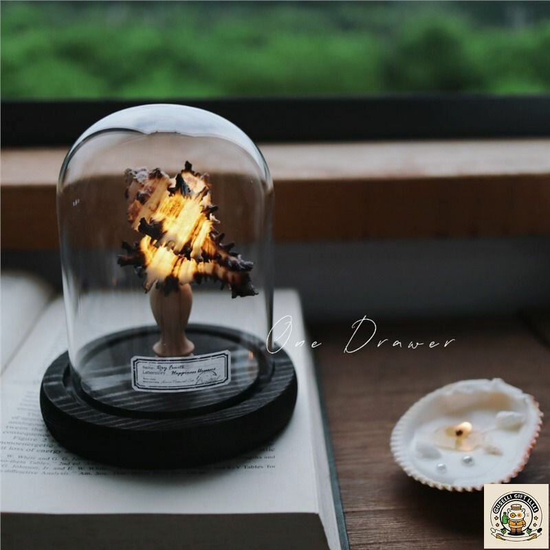 Ночник ручной работы из раковины, ночник для diy
