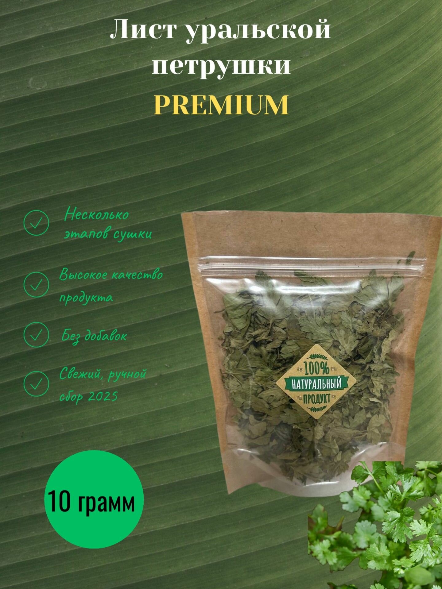 Лист петрушки, листовой ручной сбор 2025 г, без искусственных добавок, для консервирования