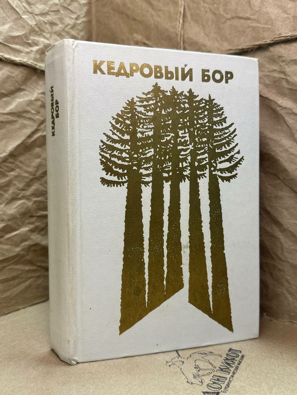 Кедровый бор