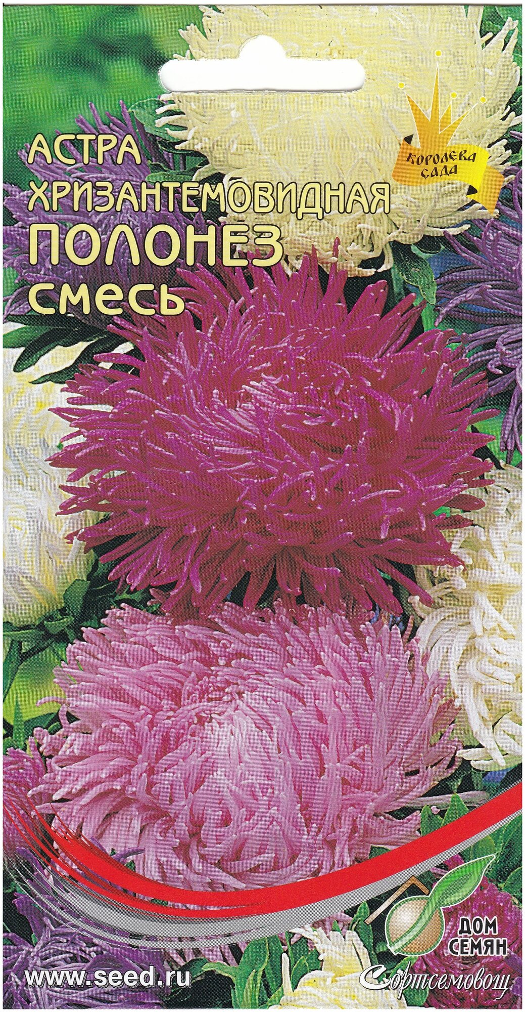 Астра Полонез смесь, 100 семян