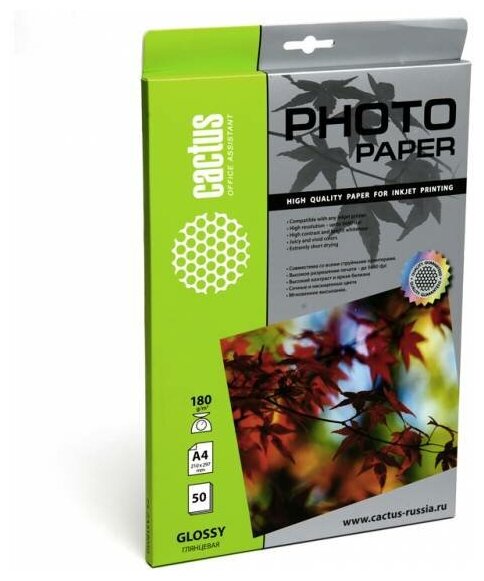 Бумага A4 180г/м2, 50 л, глянцевая (Cactus)