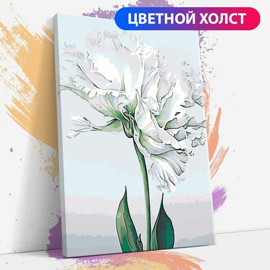 Картина по номерам на холсте с подрамником, "Цветы. Ирис белый", 30х40 см