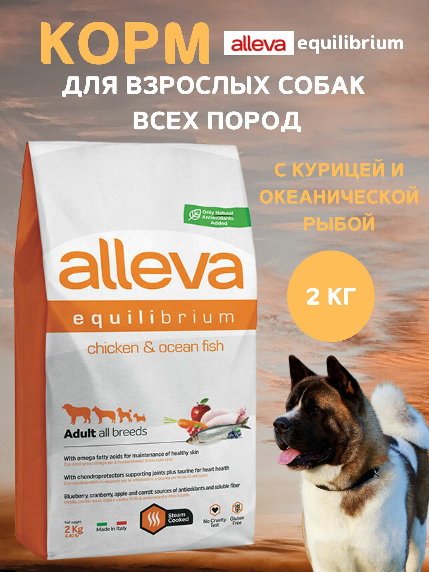 Корм Alleva Эквилибриум Мэйтенанс для взрослых собак всех пород, с курицей и океанической рыбой, 2 кг