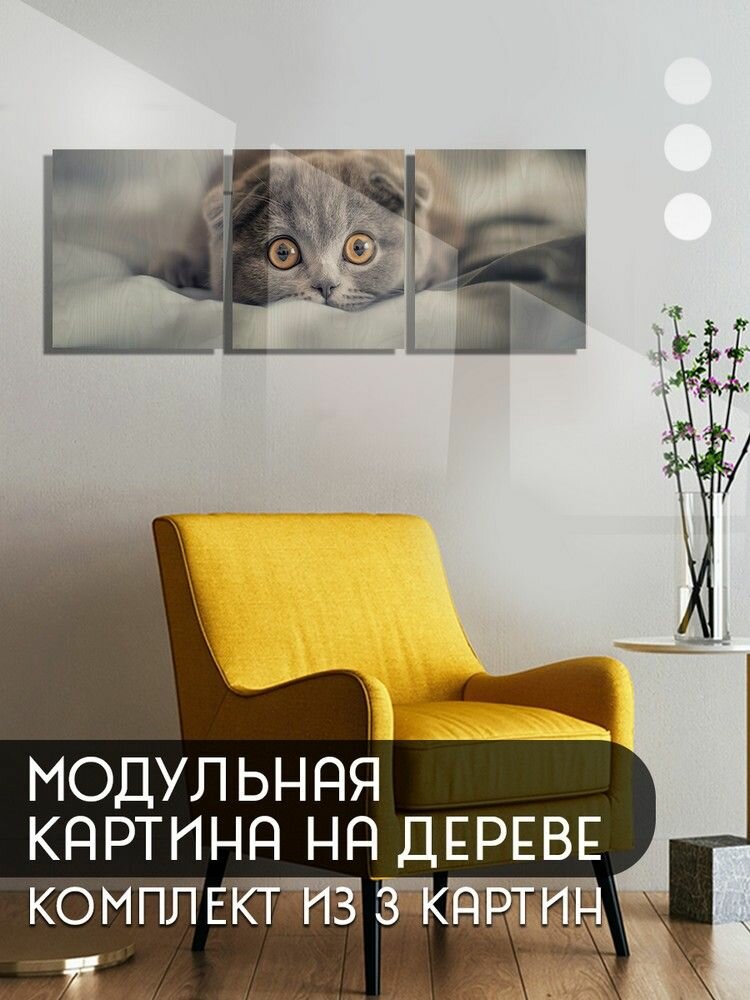 Модульная картина на дереве 66x24 см квадратные Животные Кот (Котик, милота, пушистик) - 732