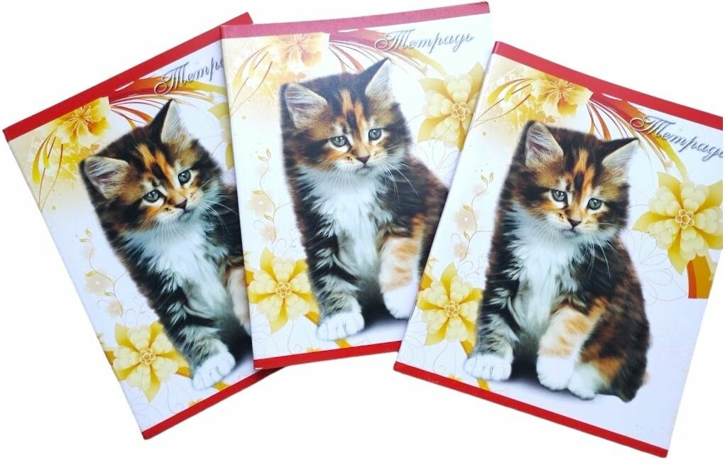 Тетрадь в клетку 3 штуки, 48 листов