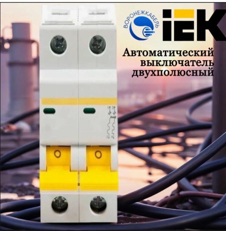 Выключатель автоматический двухполюсный IEK 32А C ВА47-29 4.5кА