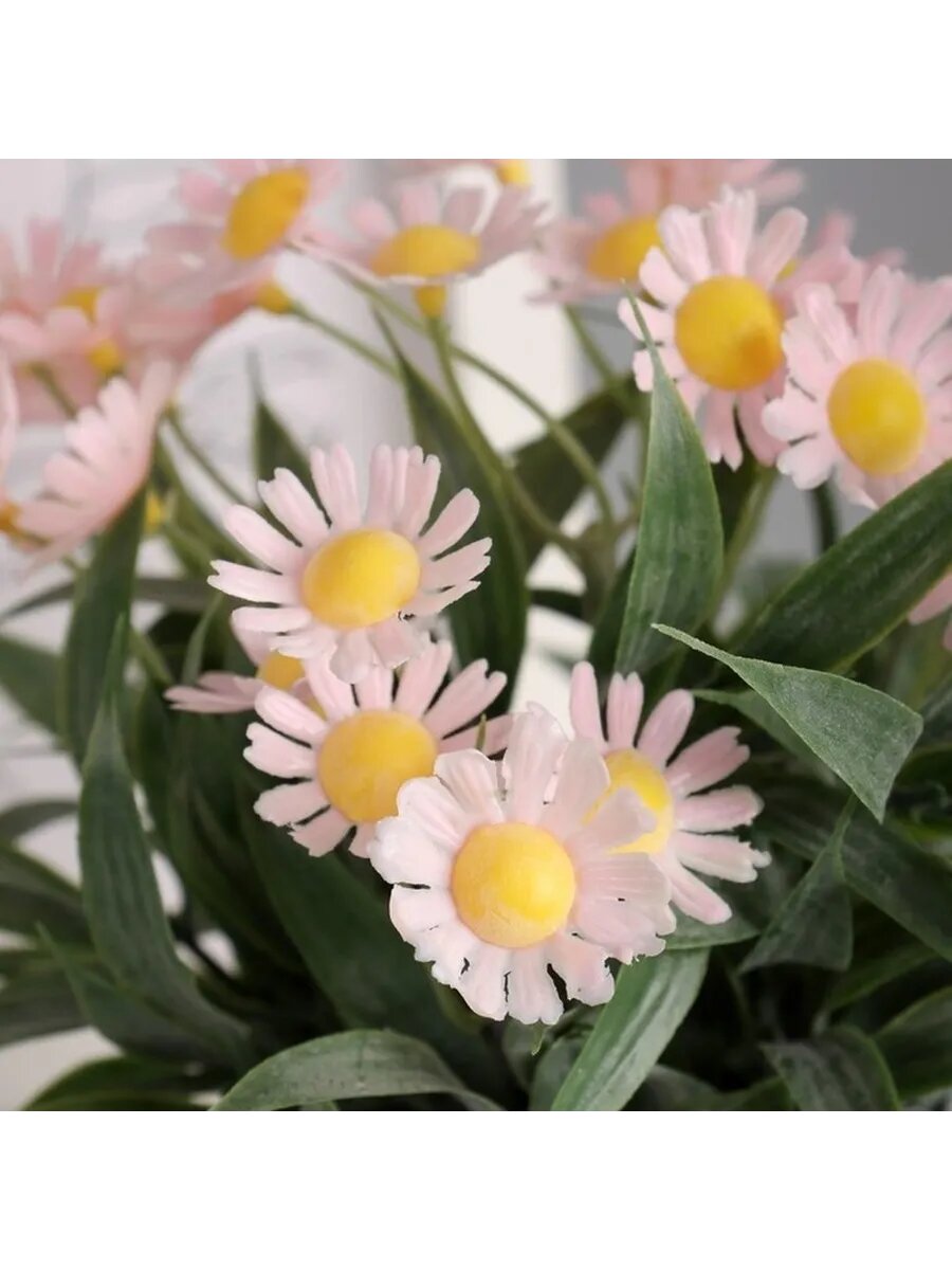 Миниатюрный бонсай Астра — стильный декор для интерьера