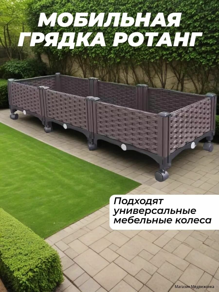 Грядка — фото 1
