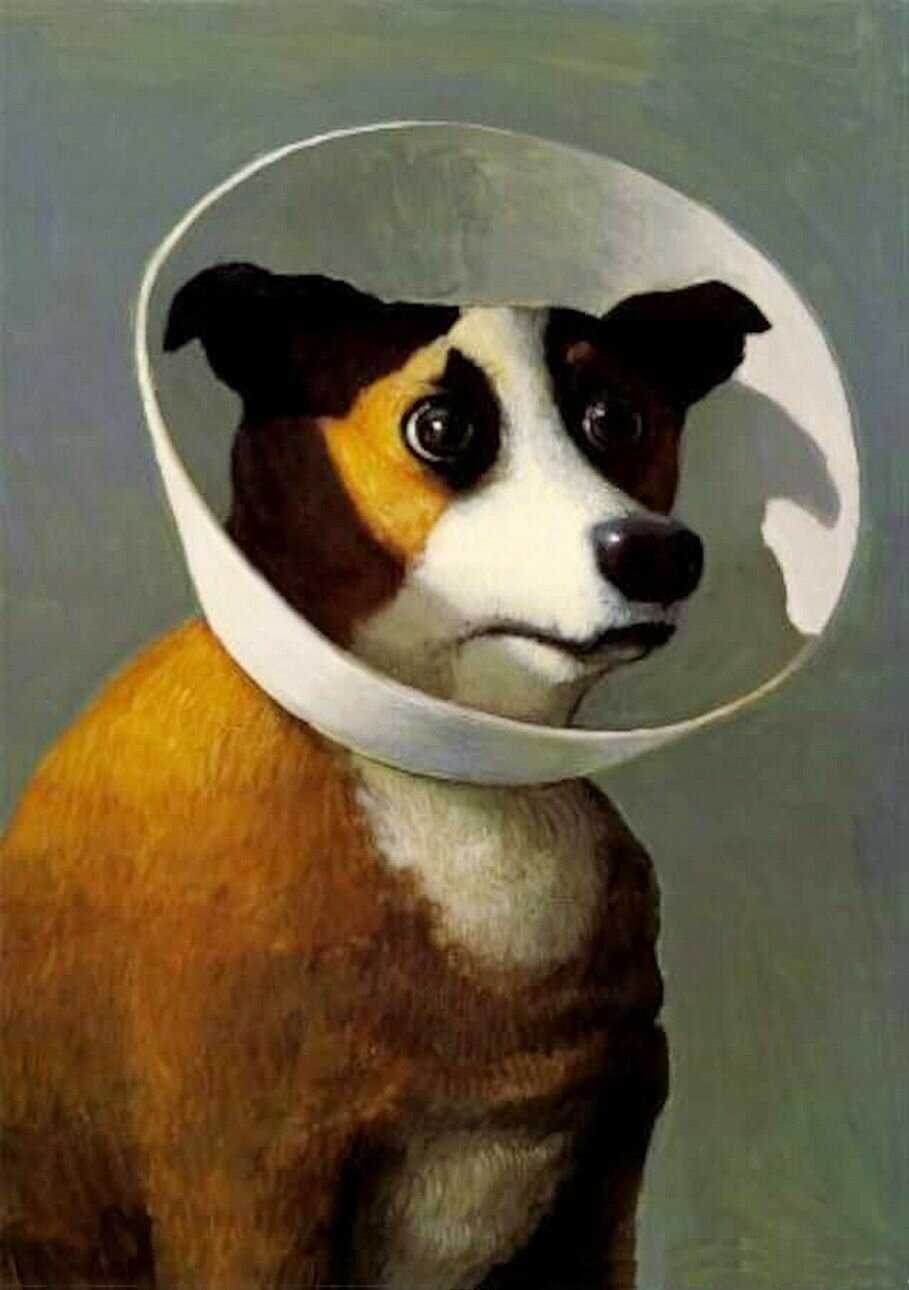 Плакат, постер Михаэль Сова Michael Sowa собака на бумаге, размер 21х30см