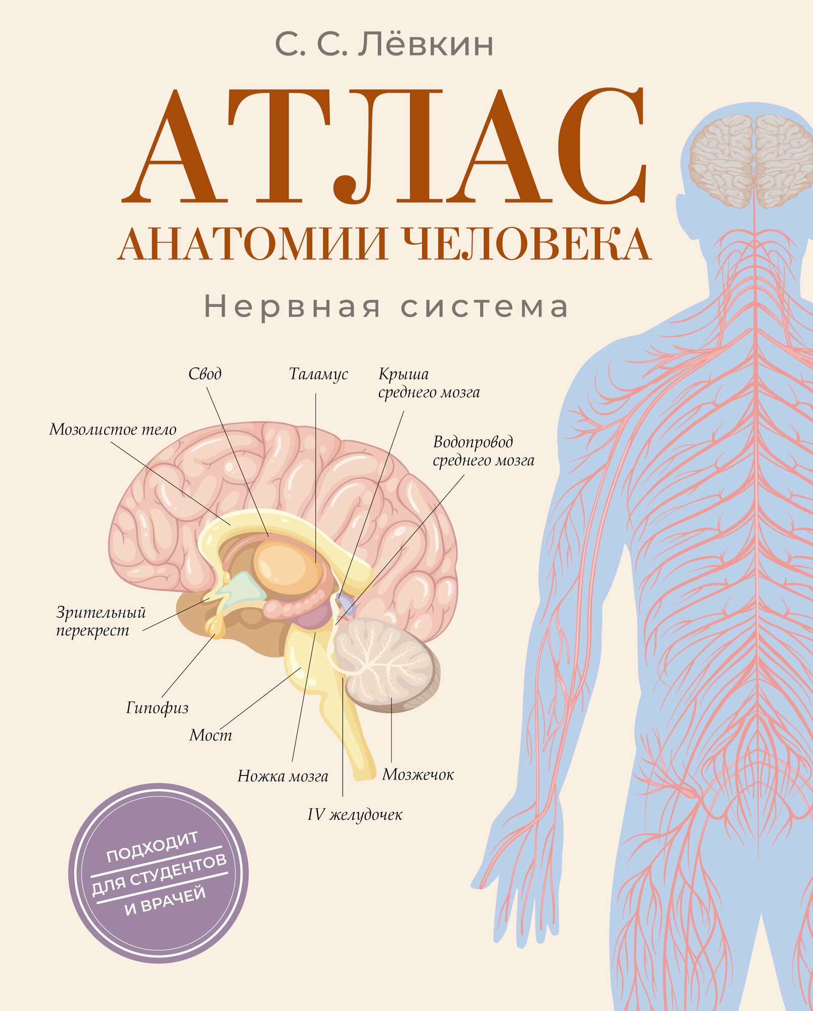 Книга "Атлас анатомии человека. Нервная система", автор Левкин С. С, издательство Джем