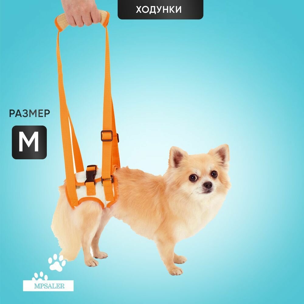 Ходунки для собак, поддержка задних лап пожилых и травмированных собак. Поддерживающая шлейка, размер M.