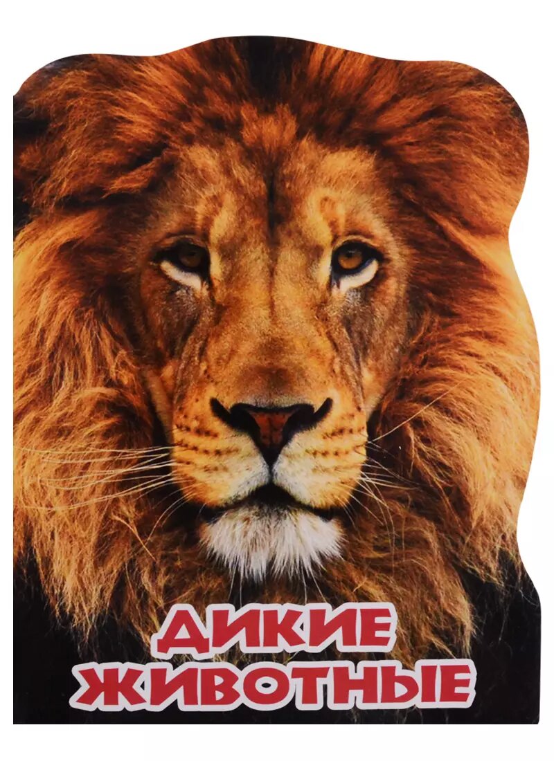 МИР животных. Дикие животные