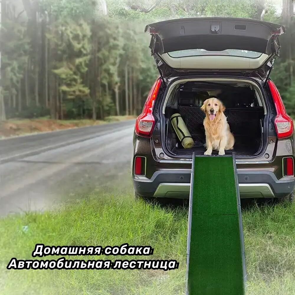 Лестница для животных — фото 1