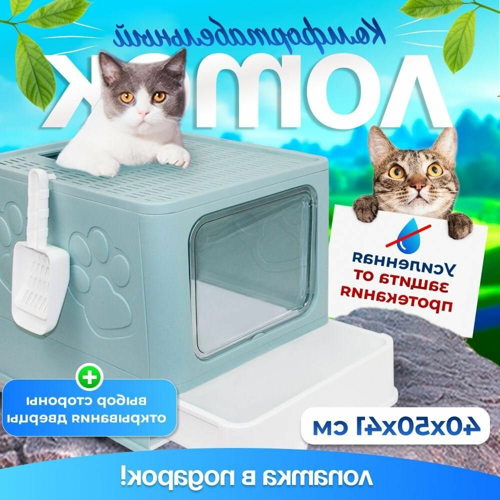 Лоток для кошек, с бортом, кошачий туалет, туалет для кошек закрытый Big Box, зелено-голубой.