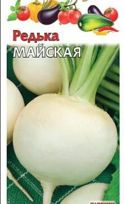 Семена Редька Майская