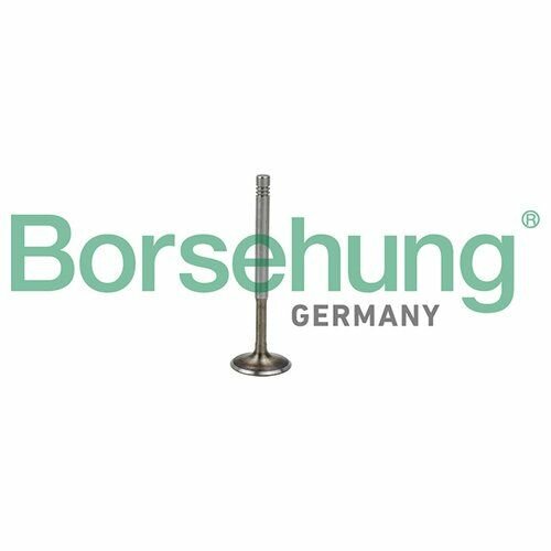 Выпускной клапан Borsehung B19009