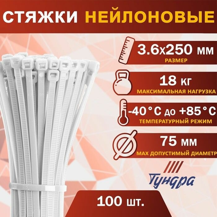 Хомут нейлоновый для стяжки, тундра, 3.6х250 мм, белый, 100 шт.