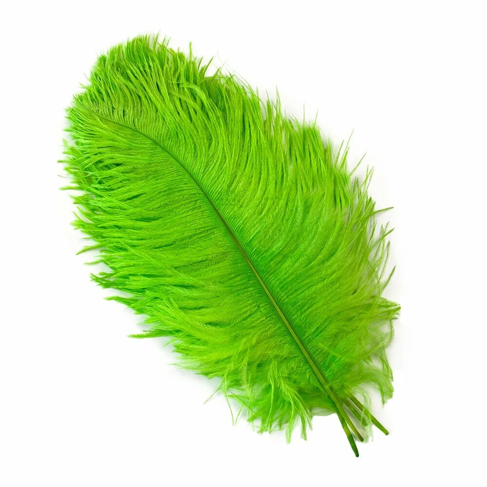 Золотые страусиные перья 15-60 см 15-20CM Fluffy, apple green