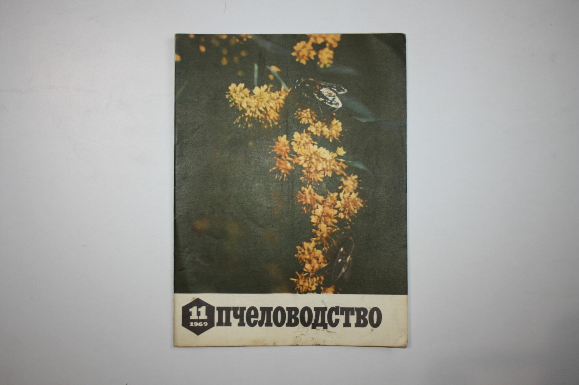 Журнал Пчеловодство № 11, 1969