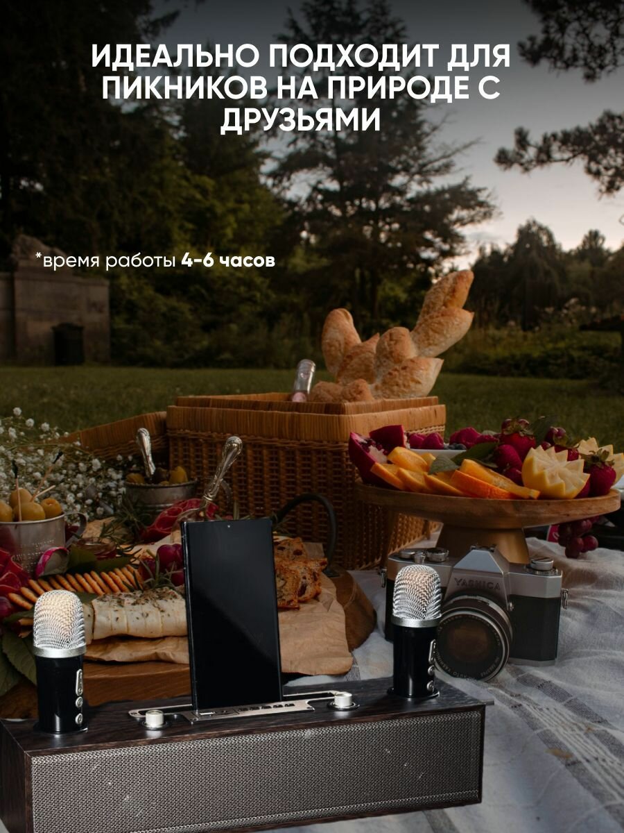 Караоке-система — фото 1