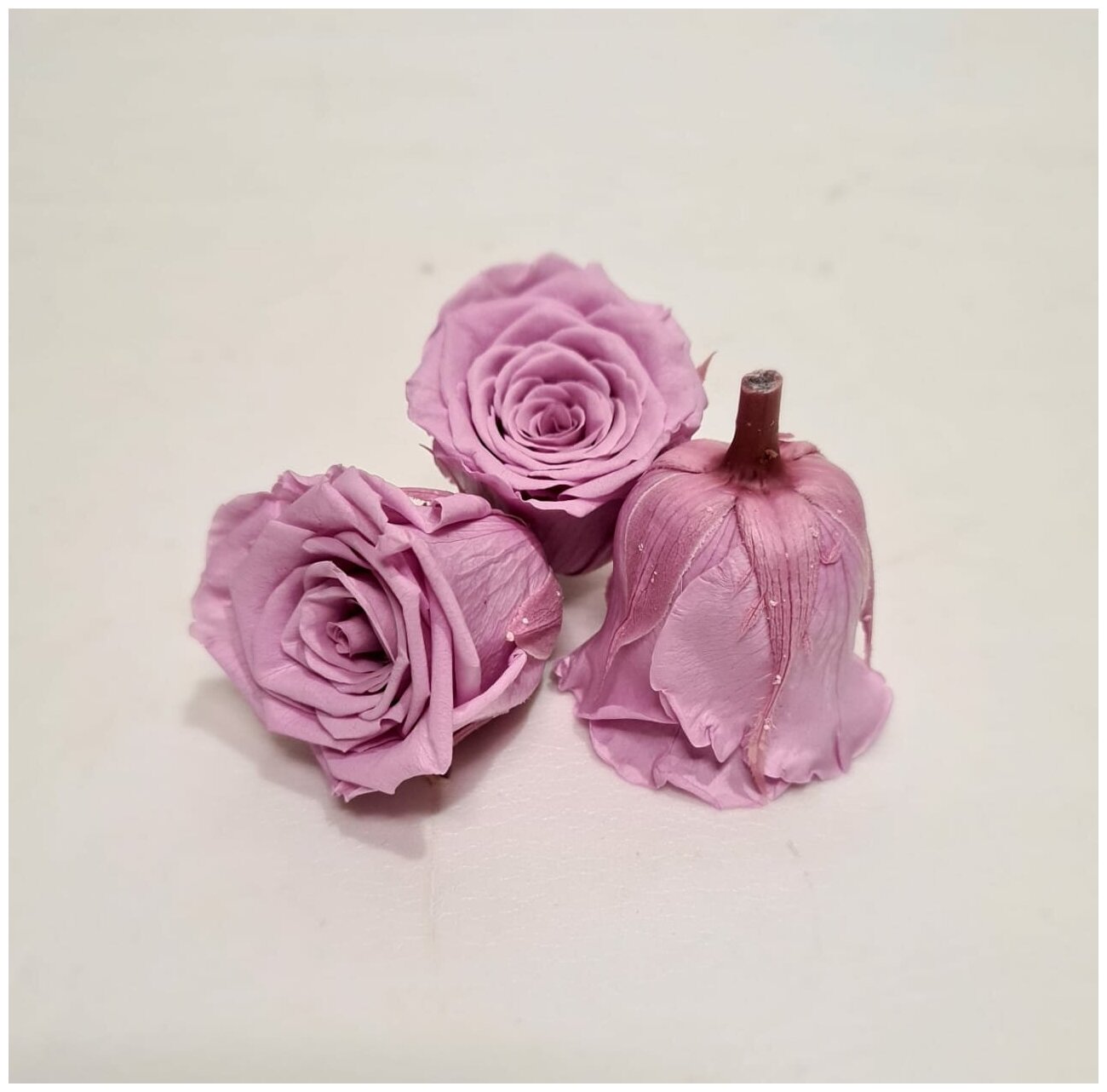 Стабилизированные розы. Бутон без ножки. Размер 4-5 см. Цвет темно лиловый. Упаковка 4 шт.