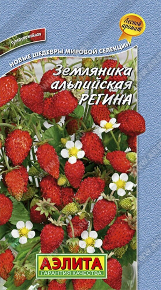 Семена Земляника Регина альпийская ремонтантная 0.04г (Аэлита)