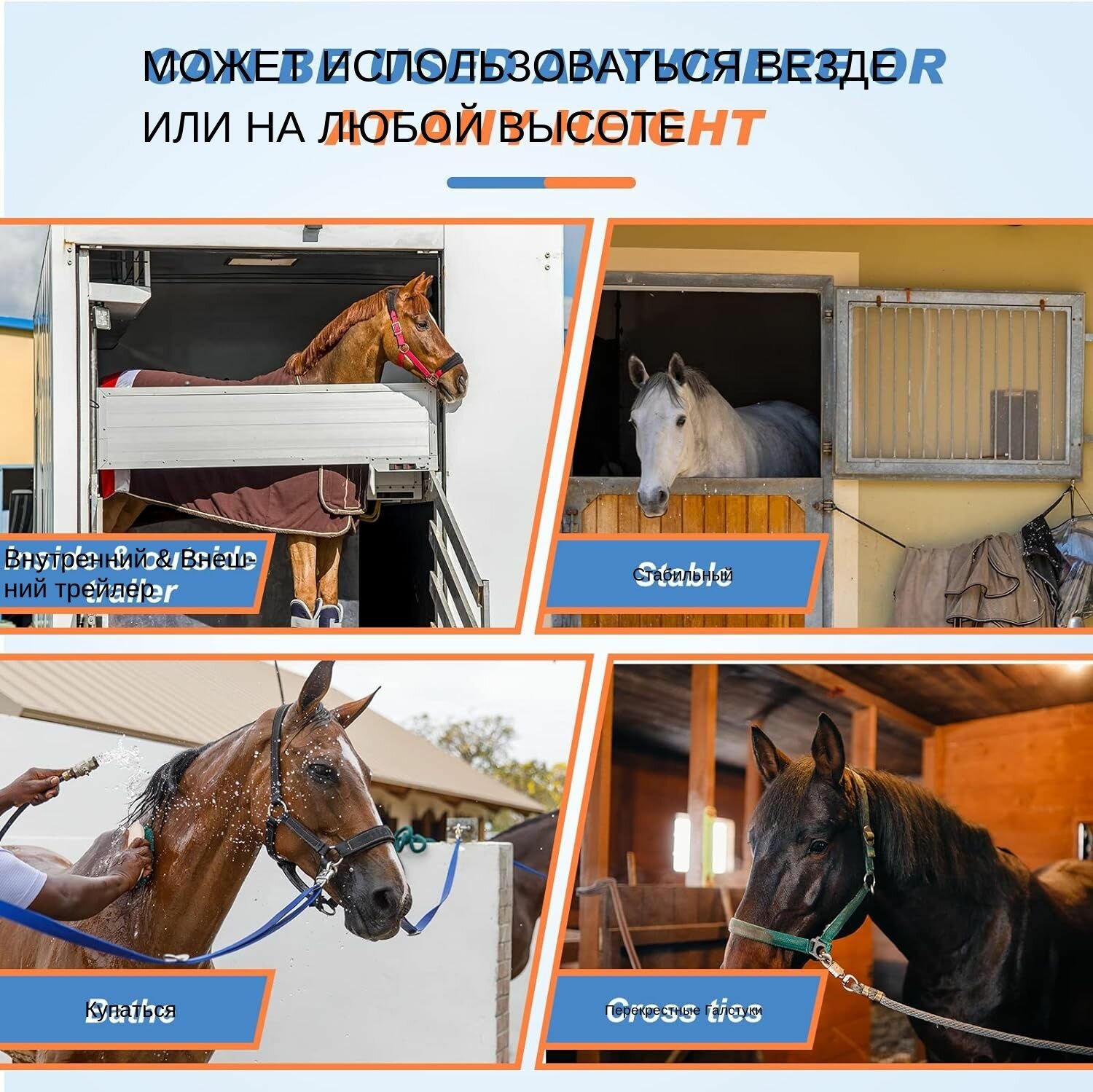 Кольцо для конского галстука, конские гвозди из нержавеющей стали, пряжка, 3 штуки