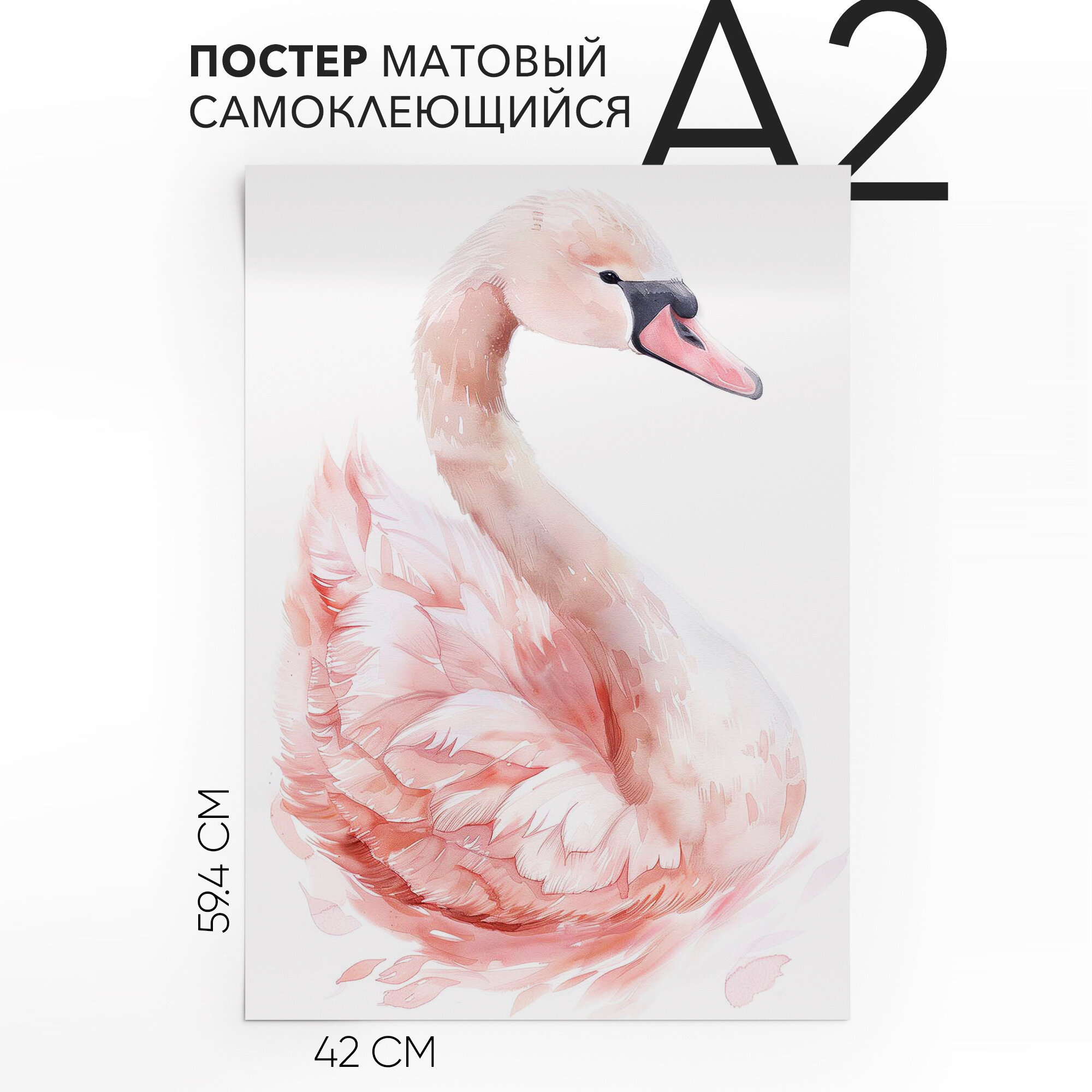 Картины постеры на стену, детский, большой A2 Лебедь, влагостойкий, для декора